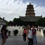 Private Tour of Shaanxi History Museum and Big Wild Goose Pagoda in Half Day - What Makes This Tour Stand Out