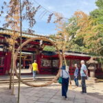 Private Tour : Old Tokyo Cultural Walk in Yanaka and Nezu - The Value of This Experience