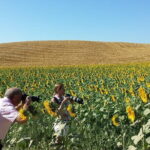 Private Tour: Orcia Valley to Montalcino and Montepulciano with Brunello Wine Tasting - Who Will Love This Tour?