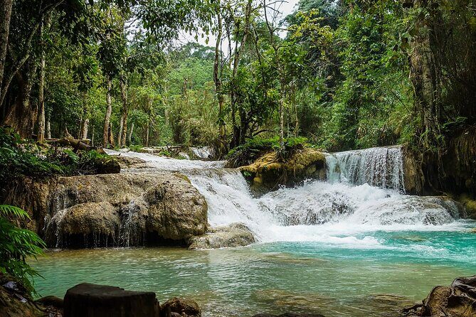 Private Tour: Pak Ou Cave and Kuang Si Waterfall Tour from Luang Prabang - The Value of the Private Tour