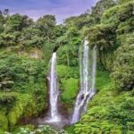 Private Tour Sekumpul Waterfall Combination Beratan Temple & Twin Lakes - A Closer Look at the Itinerary: What Makes Each Stop Special