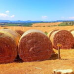 PRIVATE TOUR "Sweet Hills of Chianti and San Gimignano" with Lunch & 2 Tastings - Driving Through the Heart of Chianti