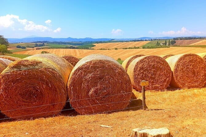 PRIVATE TOUR "Sweet Hills of Chianti and San Gimignano" with Lunch & 2 Tastings - Driving Through the Heart of Chianti