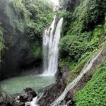 Private Tour The Beauty of Waterfall And Jatiluwih Rice Terrace - What the Tour Means for Your Bali Experience