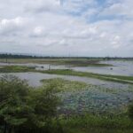 Private Tour to Anlong Veng (Khmer Rouge Stronghold) - Exploring Anlong Veng: A Deep Dive