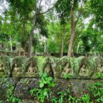 Private Tour to Banteay Chhmar Temple - Who Should Consider This Tour?