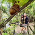 Private Tour to Chocolate Hills, Tarsiers, & River Lunch in Bohol - Who Will Love This Tour?