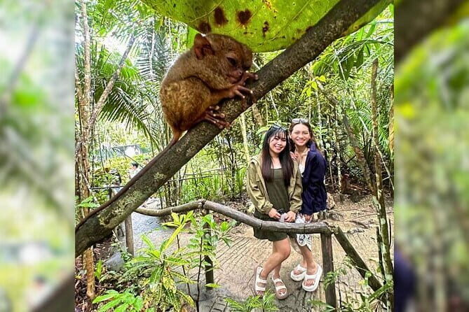 Private Tour to Chocolate Hills, Tarsiers, & River Lunch in Bohol - Who Will Love This Tour?