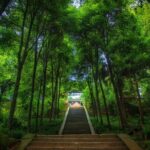 Private Tour to Dujiangyan & Mt Qingcheng from Chengdu - What Travelers Say