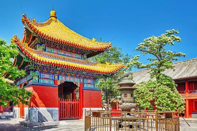 Private Tour to Lama Temple, Tian'anmen Square and Forbidden City - Key Points