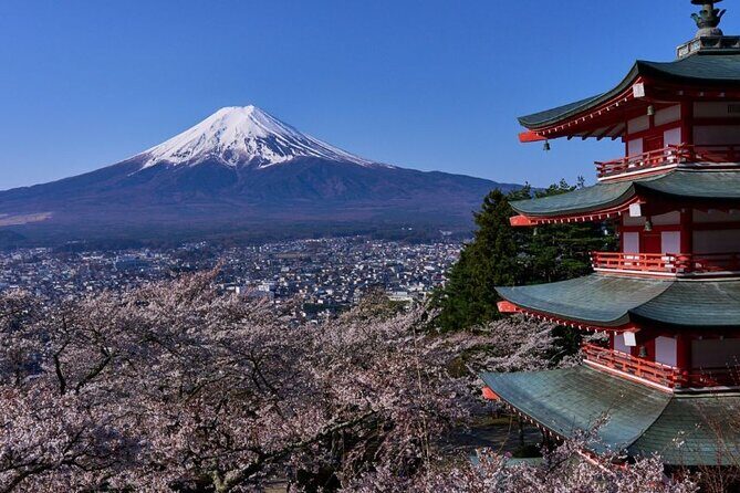 Private tour to Mount Fuji with an English driver from Tokyo - Frequently Asked Questions