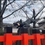 Private tour to Nara and Inari with Spanish-speaking Guide - Exploring Nara: Japan’s First Capital