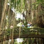 Private Tour to Sumampan Waterfall, Monkey forest, Rice terraces and Swing - Practical Considerations and What You Should Know