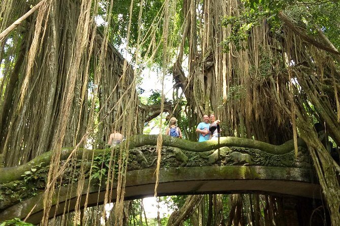 Private Tour to Sumampan Waterfall, Monkey forest, Rice terraces and Swing - Practical Considerations and What You Should Know