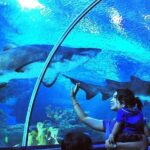 Private Tour to The Best of Animal Attractions in Kuala Lumpur - The Practicalities: What to Expect