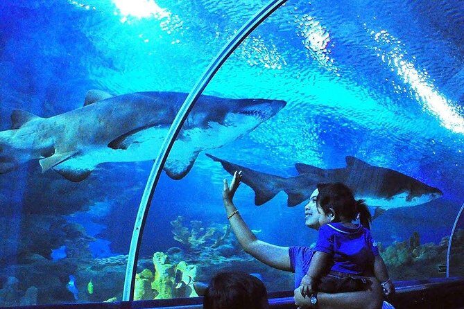 Private Tour to The Best of Animal Attractions in Kuala Lumpur - The Practicalities: What to Expect