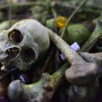 Private Tour to Trunyan Village "Skull Island of Bali" - What You Can Expect from the Itinerary