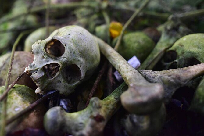 Private Tour to Trunyan Village "Skull Island of Bali" - What You Can Expect from the Itinerary