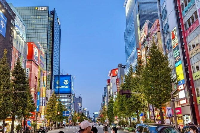 Private tour Tokyo Otaku visit places on anime and manga - Is It Worth the Price?