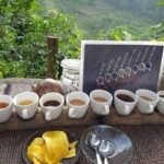 Private Tour: Ubud Day Tour with Traditional Offering Lesson - Practical Tips for Making the Most of Your Ubud Day Tour