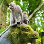 Private Tour: Ubud Highlights - Detailed Breakdown of the Itinerary