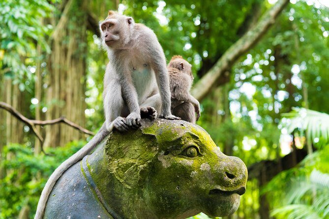 Private Tour: Ubud Highlights - Detailed Breakdown of the Itinerary
