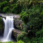 Private Tour - Ubud Kintamani Tours - Who Is This Tour Best For?