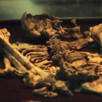 Private Tour: UNESCO Archaeological Heritage Of The Lenggong Valley from Ipoh - Learning at the Galeri Lenggong Geopark