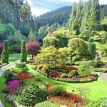 Private Tour: Victoria and Butchart Gardens Day Trip - The Real Value: What Sets This Tour Apart