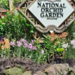 Private Tour with River Cruise in Singapore - The Practicalities: What to Expect