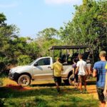 Private Tour: Yala National Park Safari - The Itinerary: What to Expect