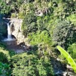 Private Tours : Highlight Ubud and Batur Volcano All Inclusive - Who Is This Tour Best For?