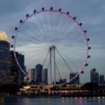 Private Tour:Singapore National Museum and Singapore Flyer and Ducktour - In-Depth: Why This Tour Works for You