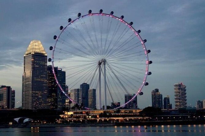Private Tour:Singapore National Museum and Singapore Flyer and Ducktour - In-Depth: Why This Tour Works for You