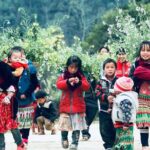 Private Transfer Between HANOI - SAPA (Danny Phan Travel) - Vehicles and Comfort Level