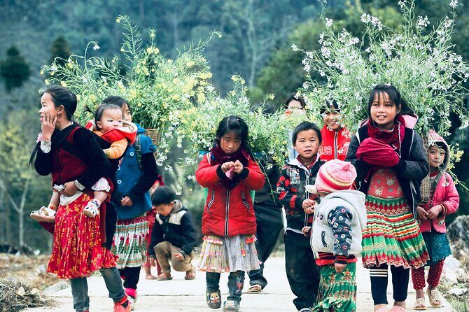 Private Transfer Between HANOI - SAPA (Danny Phan Travel) - Vehicles and Comfort Level