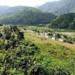 Private Transfer: Delhi to Corbett National Park with Brunch - What to Expect During the Transfer