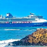 Private Transfer from Cochin to Marari: Relaxed & Convenient Ride - Why Marari? A Beach Escape with a Timeless Charm