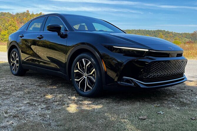 Private Transfer from Haneda Airport HND to Tokyo City by Sedan - Who Will Love This Service?