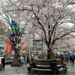 Private Transfer from Haneda Airport to Hachik City, Japan - A Detailed Look at the Experience