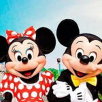 Private Transfer from Shanghai Disneyland to Shanghai Hongqiao Railway Station - The Vehicle Experience