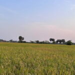 Private Transfer From Siem Reap to Bangkok Thailand - The Vehicles: Comfort and Space