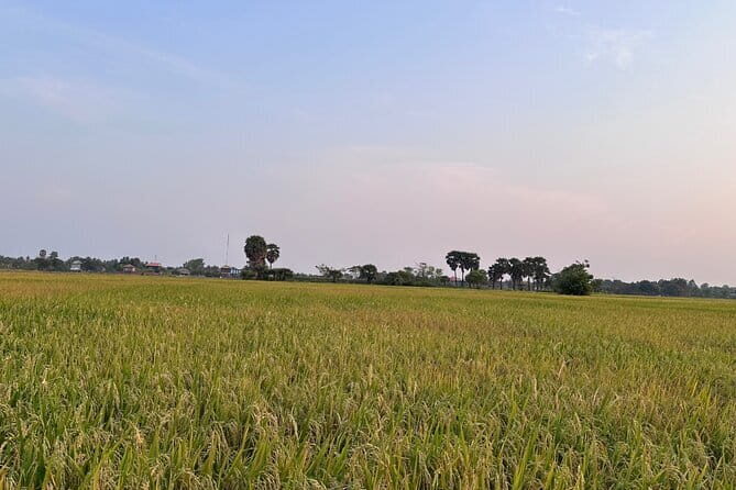 Private Transfer From Siem Reap to Bangkok Thailand - The Vehicles: Comfort and Space