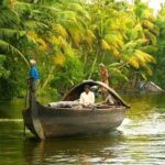 Private Transfer from Trivandrum to Alleppey: Travel Guide - Why This Transfer Matters