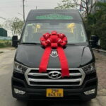 Private transfer Hanoi to NINH BINH/HA LONG by Limousine - The Cost and Its Value