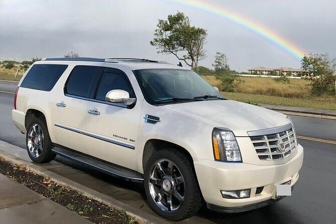 Private Transfer - Otaru Cruise Port to New Chitose Airport (CTS) - Pricing and Value