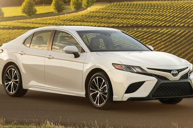 Private Transfer Service from Seoul City Hotels to Gimpo Airport - The Booking Experience