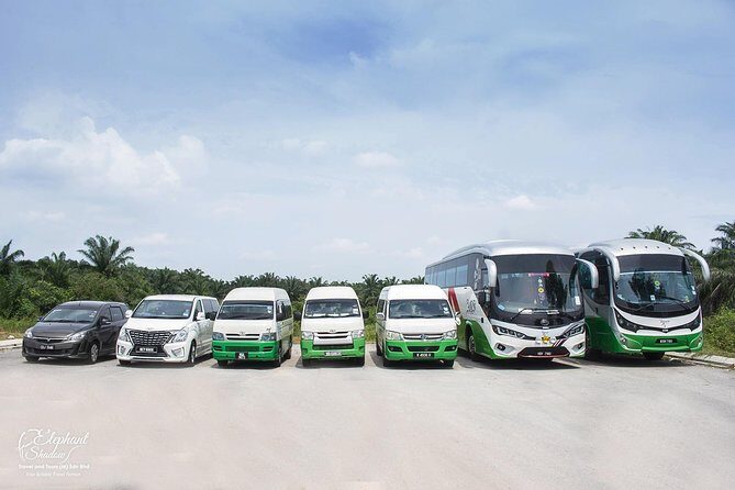 Private transfers from Kuala Lumpur International Airport to your Hotel - Why Choose This Transfer?