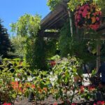 Private Transportation to Butchart Gardens - Why Private Transport to Butchart Gardens Offers Great Value