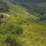 Private Trekking Tour at Hantana Mountain - Who Is This Tour Best For?
